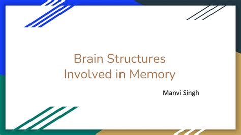 brain structures involved in memory pptx brain and nervous system