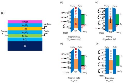 schematics of layer structures and the molecular memory operation
