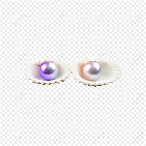 Shiny Pearl Marine Life Shell Texture Smooth Decorations Png Picture