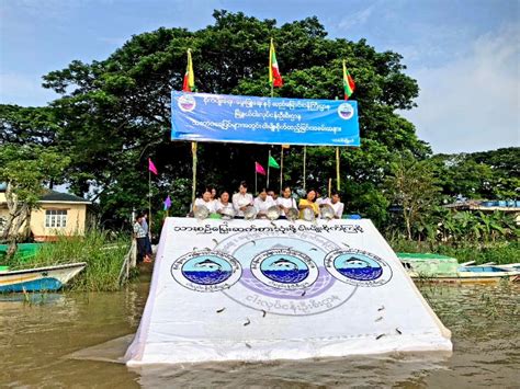 သာပေါင်းမြို့နယ်တွင် ငါးသယံဇာတ တိုးပွားစေရေးအတွက် သဘာဝရေပြင် ငဝန်မြစ်ပြင်ကျယ်အတွင်းသို့ ငါးမြစ်ခ