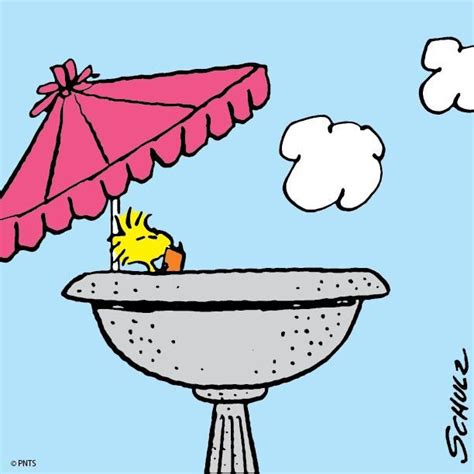 61 Snoopy Summertime Ideas Snoopy Snoopy Love Charlie Brown And Snoopy