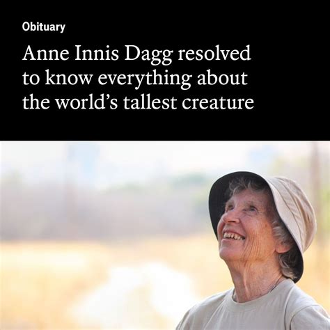 From A Young Age Anne Innis Dagg Was Fascinated By Giraffes But Information About Them Was
