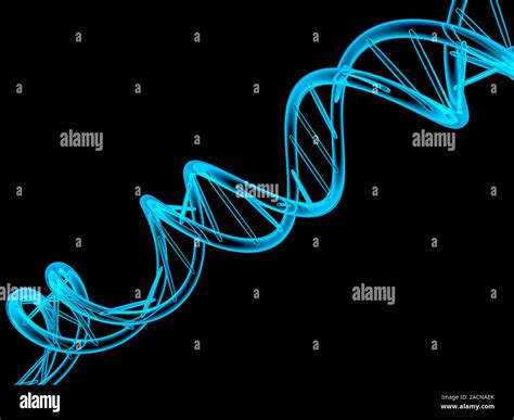 Dna Molecule Computer Artwork Showing A Double Stranded Dna Deoxyribonucleic Acid Molecule