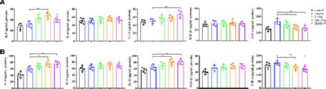 Figure 1 From Nano Selenium Enriched Probiotic Lactobacillus Enhances Alum Adjuvanticity And
