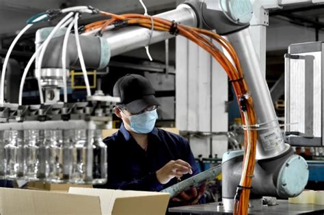 Quality And Cobots Food And Drink Business