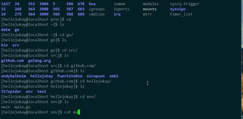 linux查看运行中的程序的环境变量