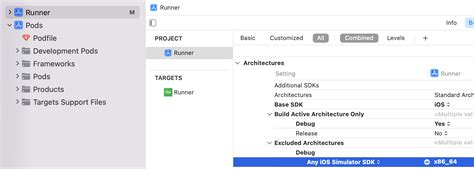fixing `the ios simulator deployment target iphoneos deployment target