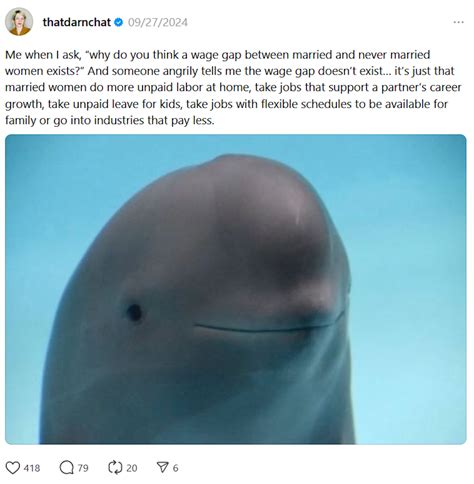 The Smiling Dolphin Meme Is Actually A Porpoise And Hes Tired