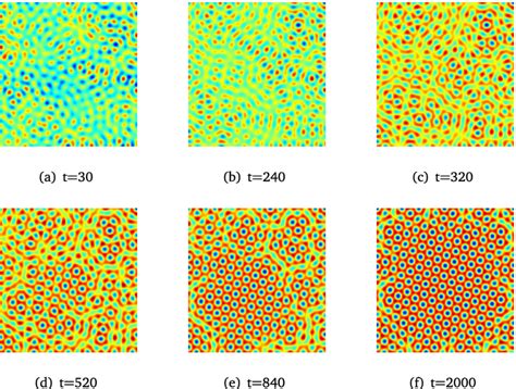 snapshots of the phase variable ϕ are taken at t 30 240 320 520