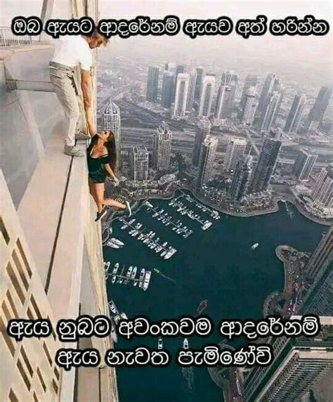 ආවා Pacac 😂 R Sinhalamemes