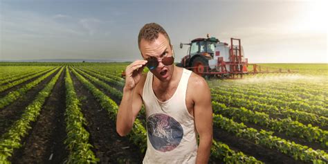 Technology Can Help Your Agriculture Venture Dorks Delivered