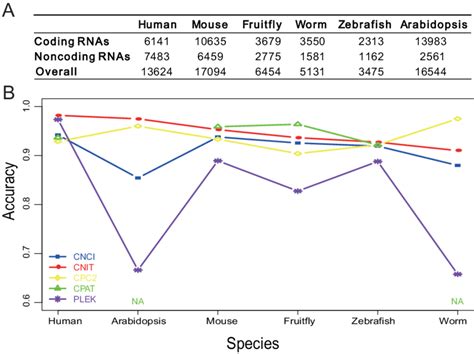 evaluation of the accuracy of cnit cnci cpc2 cpat and plek software