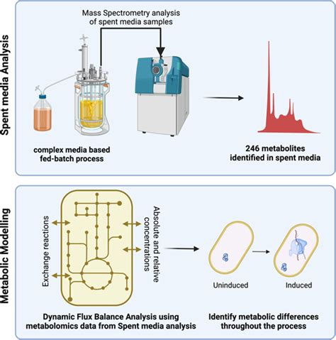 Biotechnology And Bioengineering Vol 121 No 4