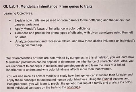 Solved Ol Lab 7 Mendelian Inheritance From Genes To Traits