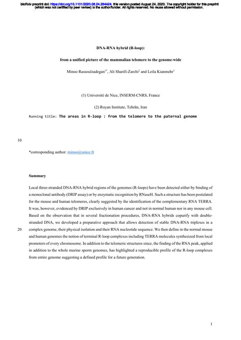 PDF DNA RNA Hybrid R Loop From A Unified Picture Of The Mammalian Telomere To The Genome Wide