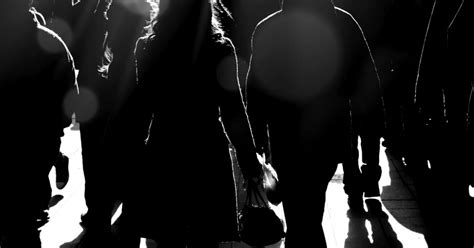 The Human Ecs System And Cannabis Level