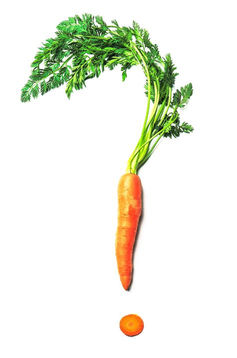Macro Faq Results And Answers Now Macronutrition Coaching