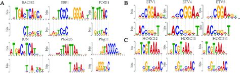 relationships between the first layer in the convolution kernel and