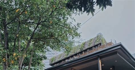 On3 Senayan Harga Menu Jam Buka Dan Lokasi Luru Wisata