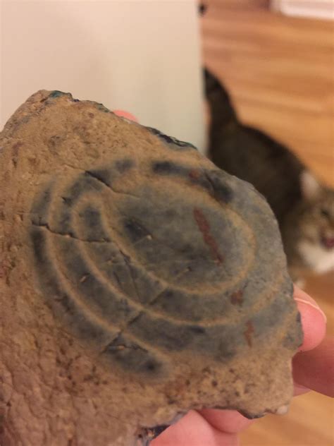 Spiral Fossil Fossil Id The Fossil Forum