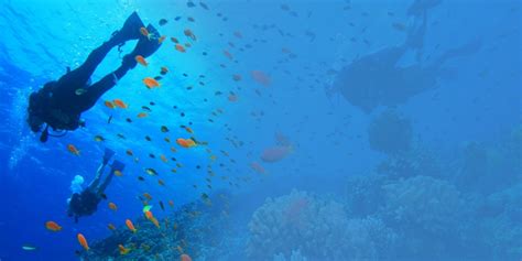 Home Journal Of Aquatic Sciences And Oceanography Open Access