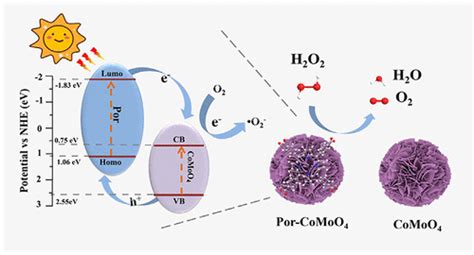 Nanozyme Sensor Array Based On Porphyrin Modified Comoo4 To Detect And