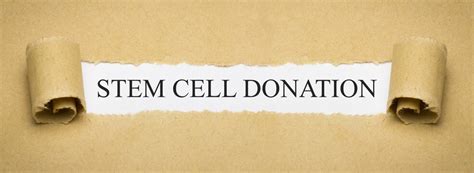 Knochenmarkspende Bilder Durchsuchen 180 Archivfotos Vektorgrafiken