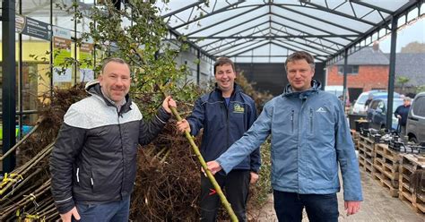 Stad Peer Deelt Opnieuw Gratis Bomen Uit Aan Bewoners Peer Hln Be