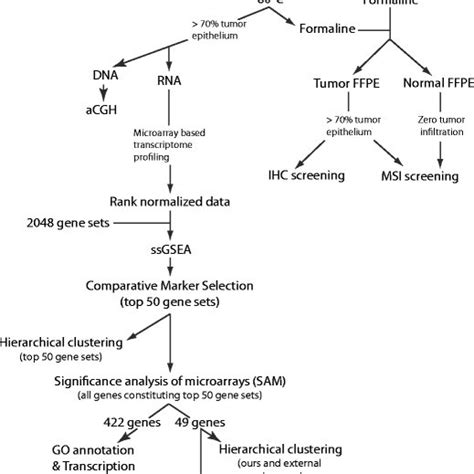 Diagrammatic Representation Of The Microarray Analysis Pipeline