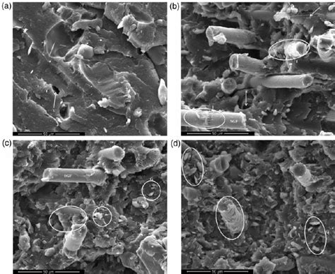 A Impact Test Failed Sem Micrograph Of Tceptfe Composite B Impact