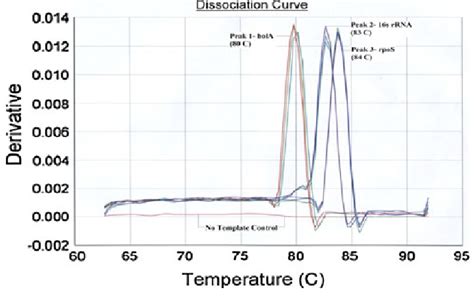 The Graph Illustrates Data From A Typical Real Time Rt Pcr Experiment Download Scientific