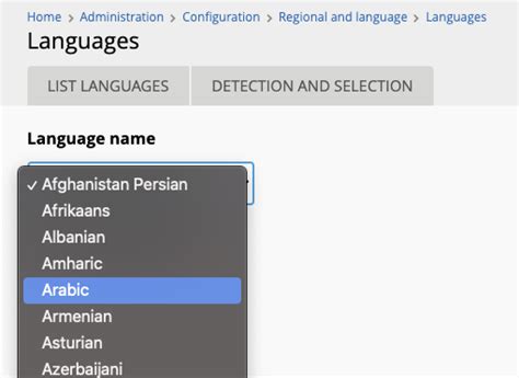 DX Allow Language List To Output Select List Options With Both The Native And The Non
