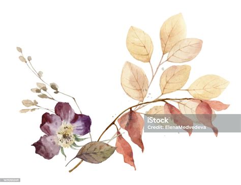 밝은 가을 꽃과 단풍이 있는 수채화 벡터 배열 추수 감사절 장식 추수 감사절 청첩장 인사말 카드에 적합합니다 손으로 그린 그림입니다 예술에 대한 스톡 벡터 아트 및 기타