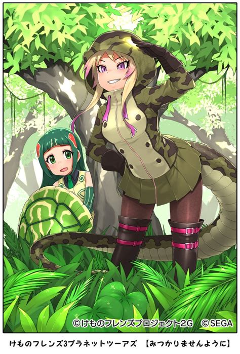 Shell Shield Danbooru