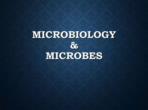 Micriobiology And Microbes Pptx