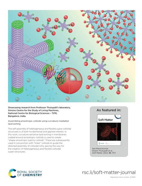 PDF Assembling Anisotropic Colloids Using Curvature Mediated Lipid Sorting