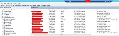 how to make a custom data field in bigfix column available to webreports reporting bigfix forum