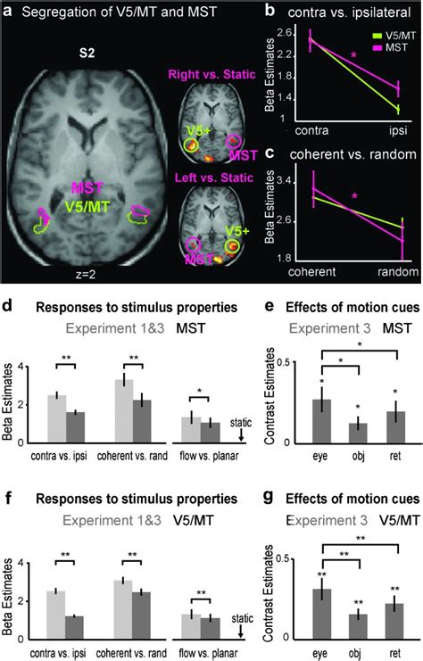 Localization And Responses Of Areas V5mt And Mst A Single Subject