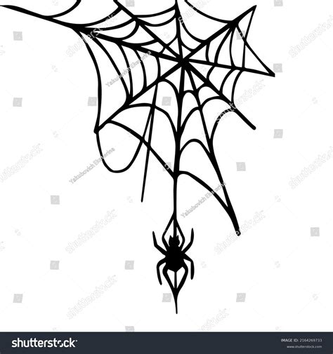 linear sketch web spidervector graphics stock vector royalty free