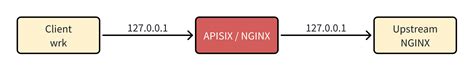 apache apisix vs nginx 支流科技