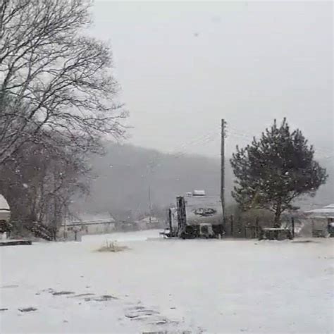 꿈 같은 하루🌝⭐💤 한국이 맞나 얼마 남지 않은 순간의 계절 봄 여름 가을 겨울이 되기까지⛄ 지금만 볼 수 있는 풍경👍👍 여주카라반 겨울왕국