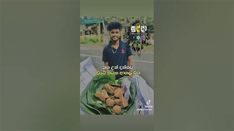 විට කන එවුන් 𝗹𝗶𝗸𝗲 කරන්න 𝘀𝘂𝗯𝘀𝗰𝗿𝗶𝗯𝗲 කරන්න 😇 Youtube