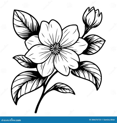 Arabian Jasmine Flower Tattoo Minimalist Outline Jasmine Flower Tattoo Black And White Jasmine