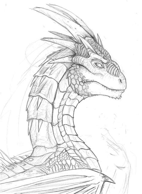 Draco Sketch By Xdromaeosaurx On Deviantart