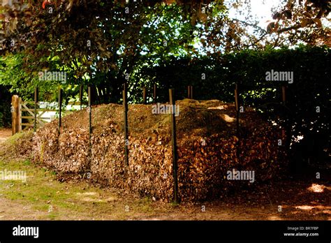 Compost Heap Hi Res Stock Photography And Images Alamy