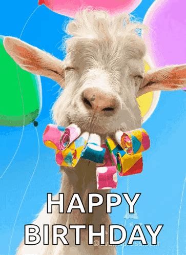 Birthday Animated Clipart Funny