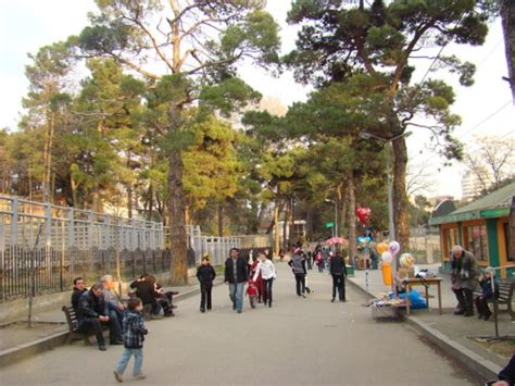 თბილისის ზოოპარკი გაიხსნა Bpn Ge