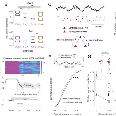 Sbd Neurons Exhibit Topographically Organized Spatial Representations Download Scientific