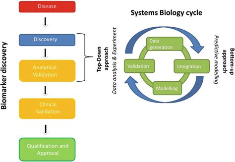 1 Relationship Between The Classical Biomarker Discovery Pipeline And