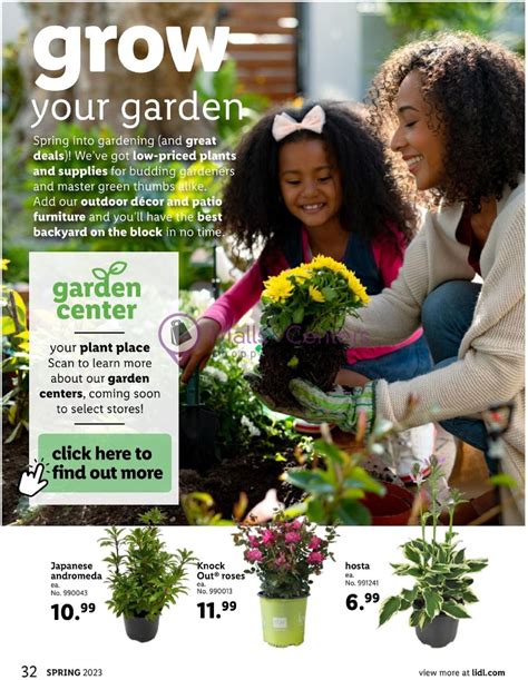 Lidl Weekly Ad Valid From To MallsCenters